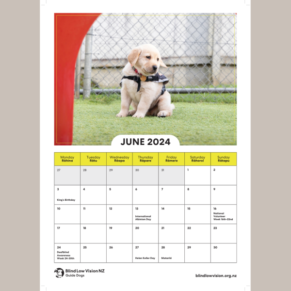 2024 Guide Dogs NZ Calendar